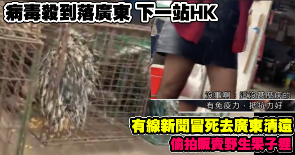 「突發有圖」西環大波Madam Katy Pang於IG控訴被同事性騷擾